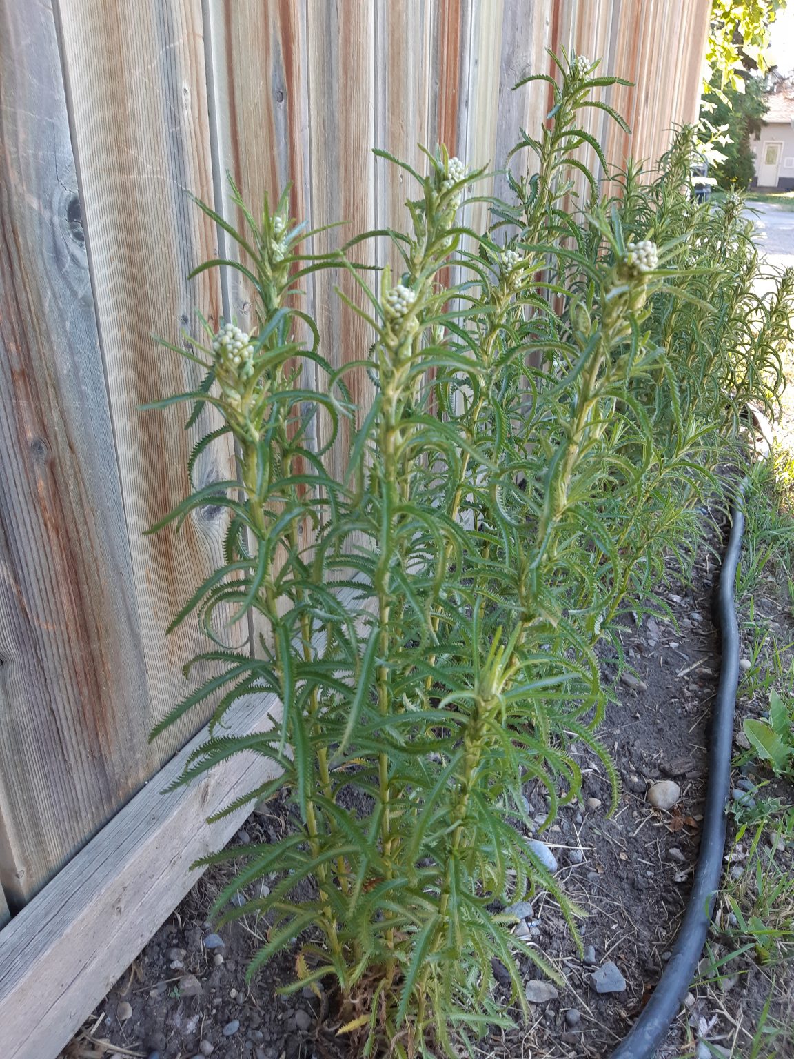 back to main search page