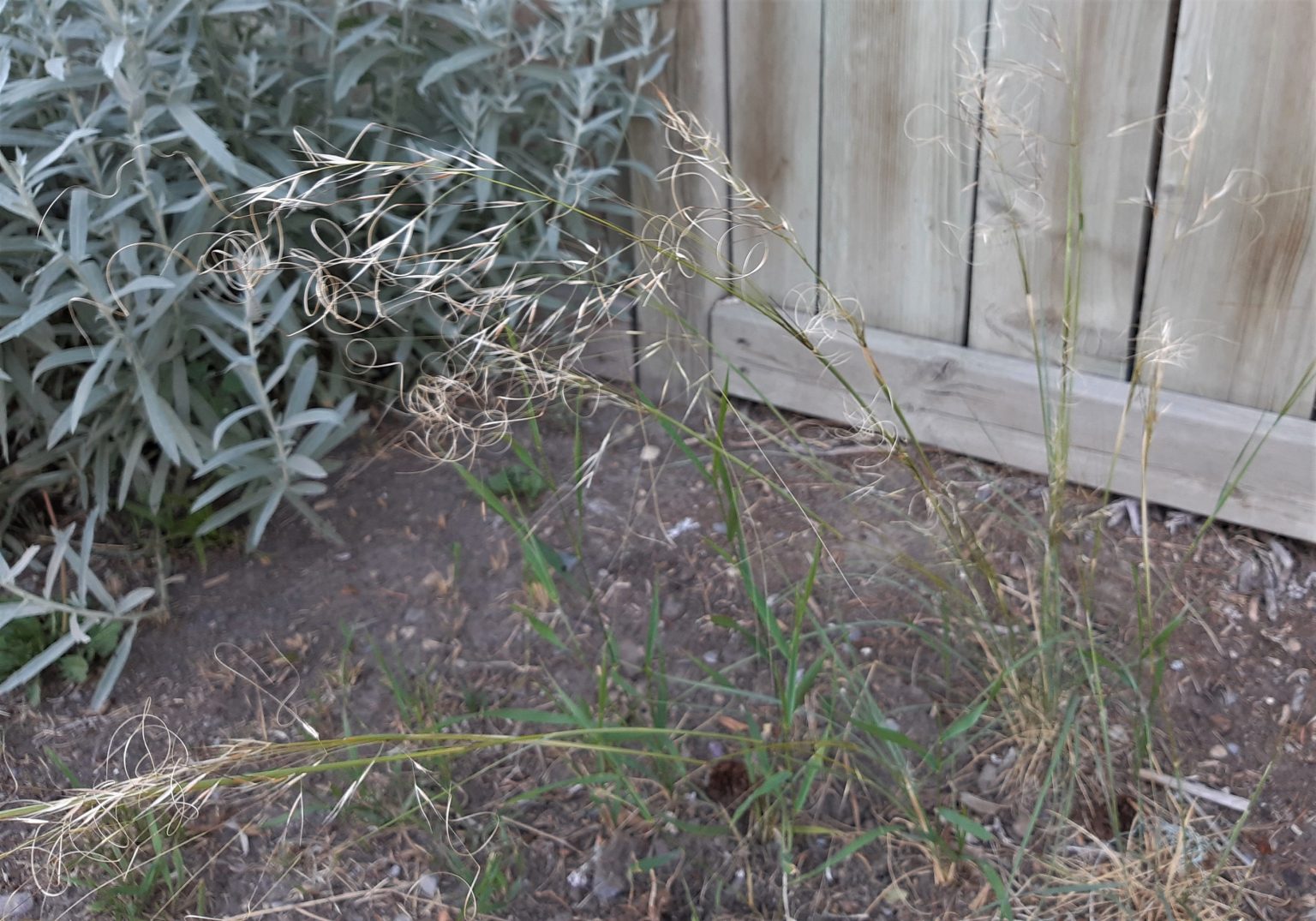 back to main search page