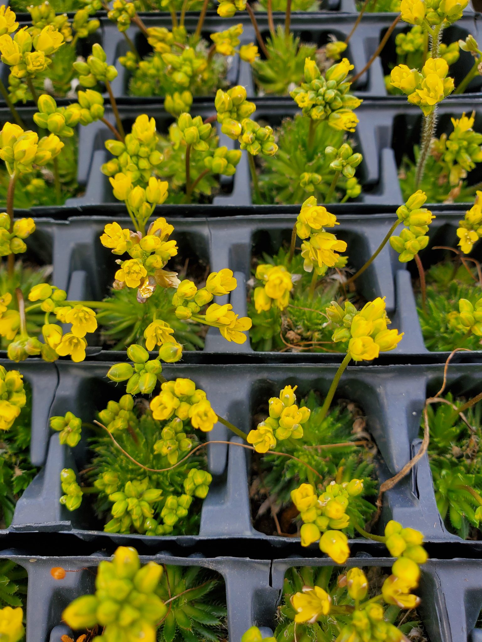 back to main search page