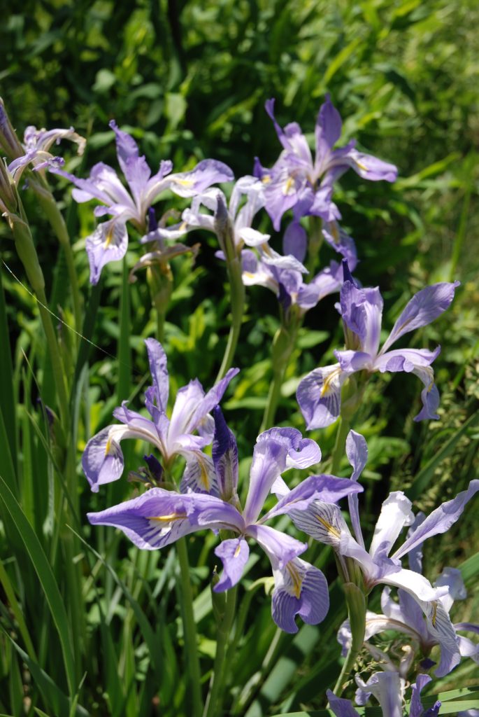 back to main search page