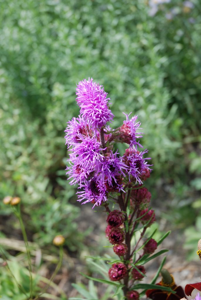 back to main search page