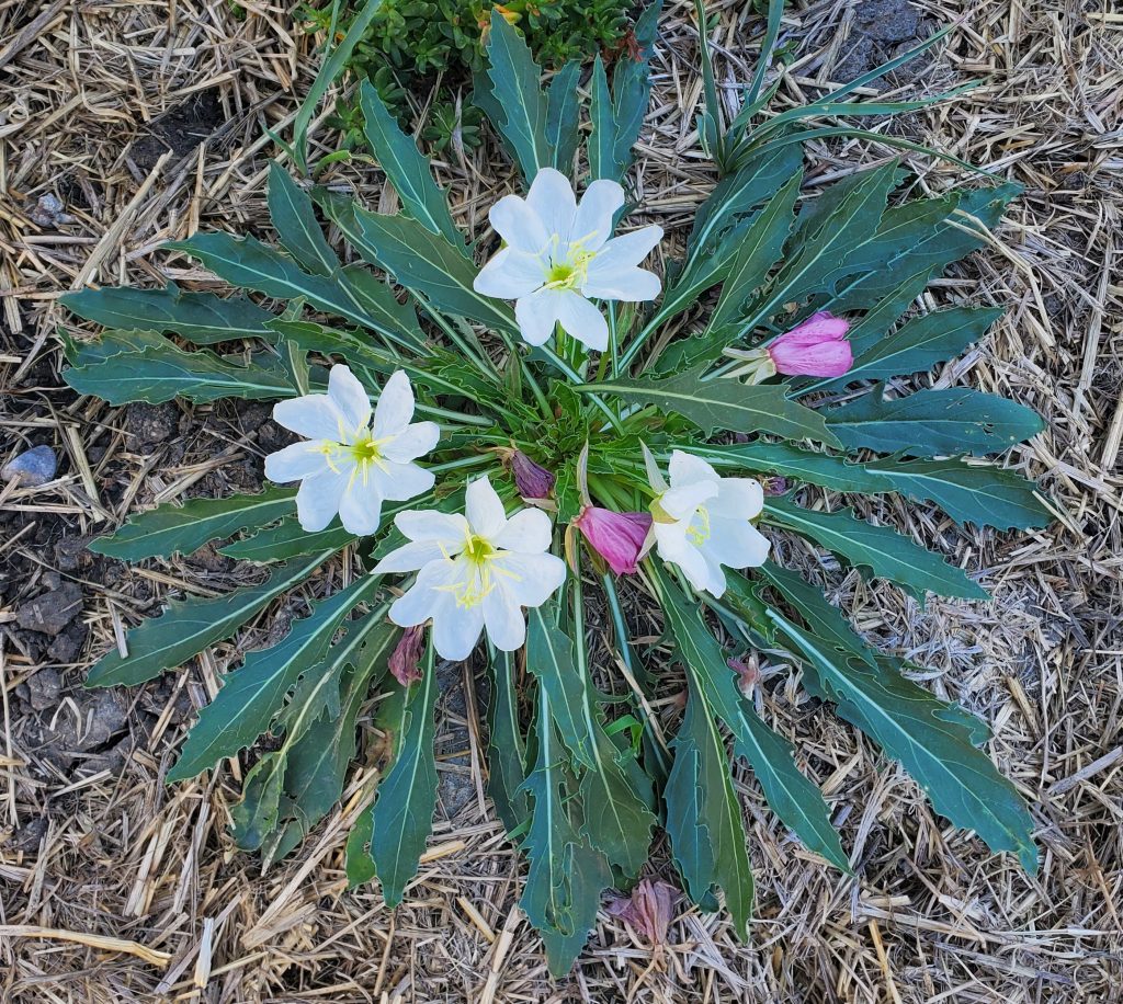 back to main search page