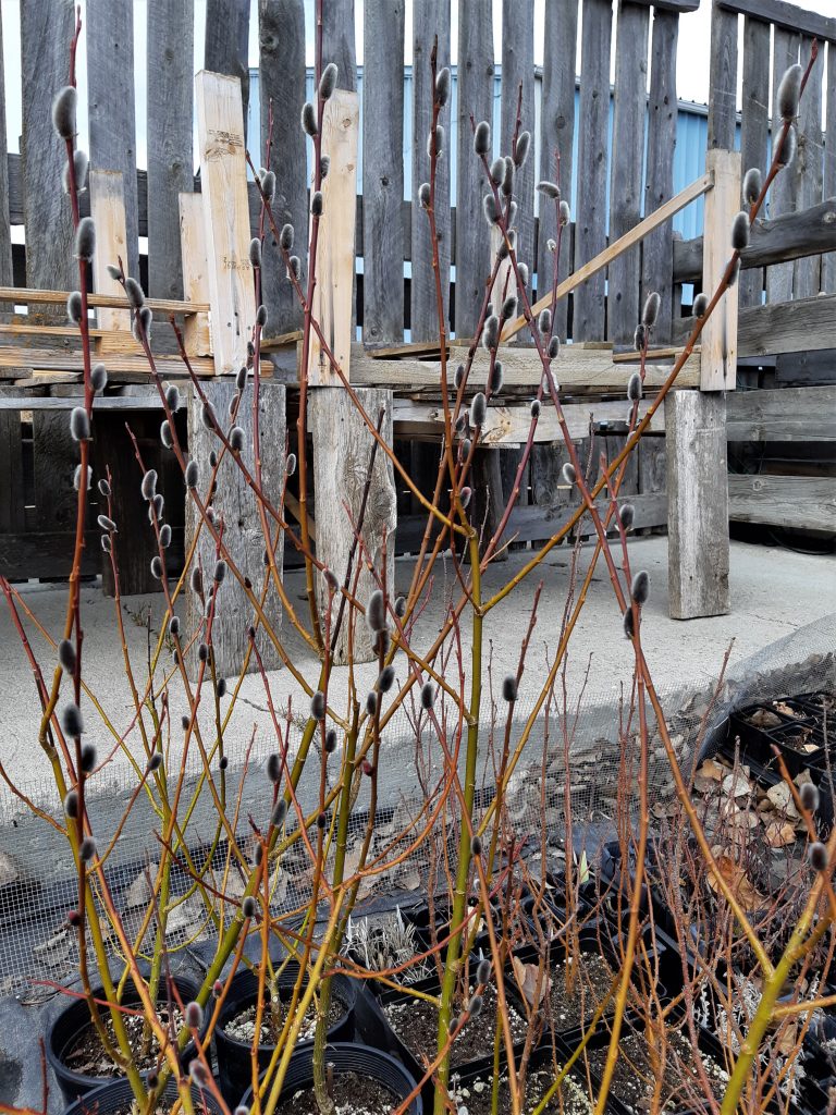 back to main search page