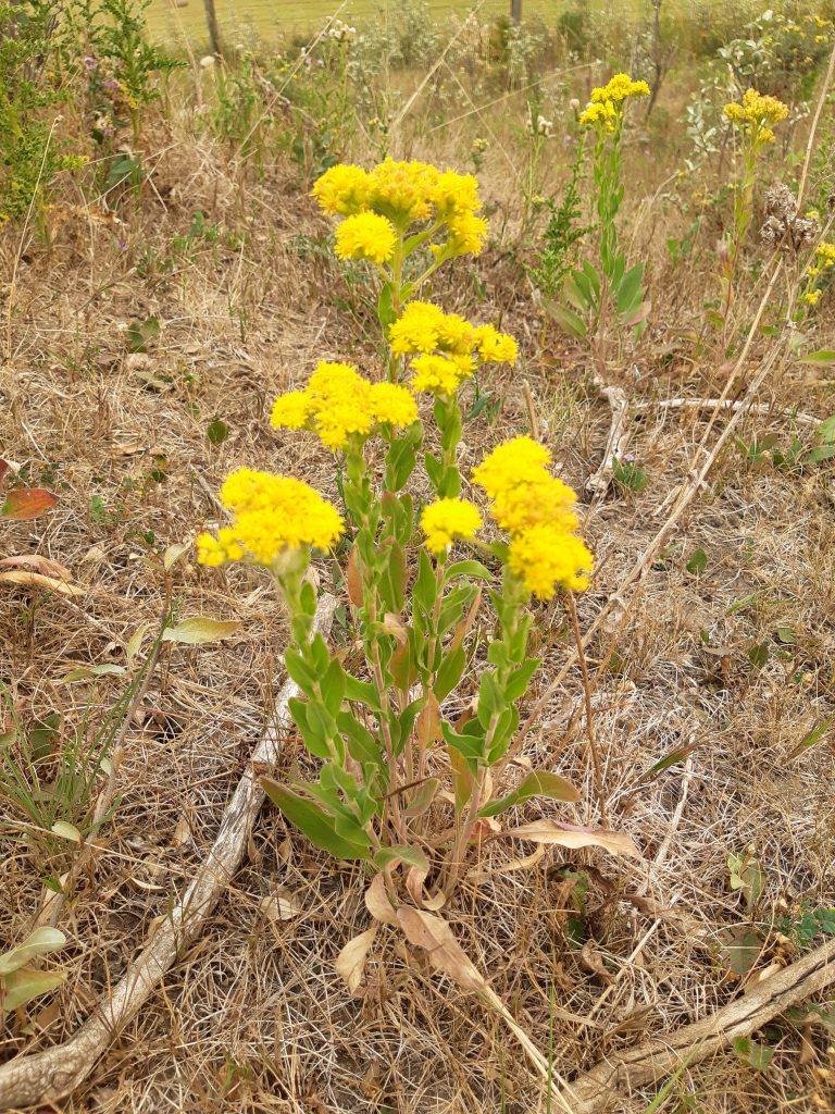 back to main search page