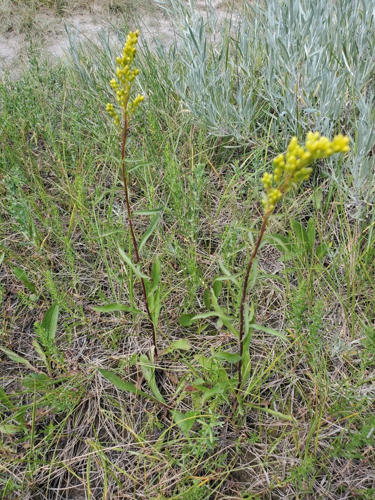 Other considerations