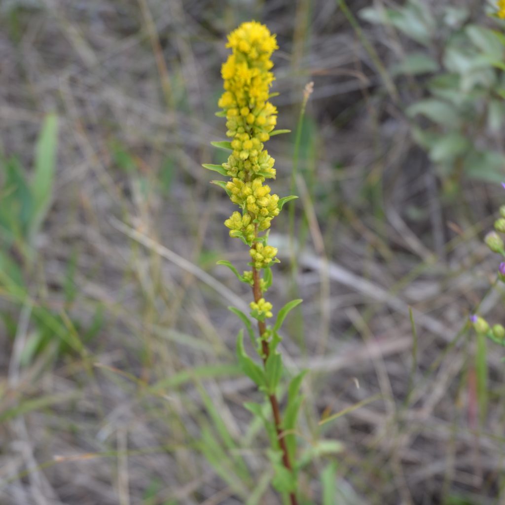 Other considerations